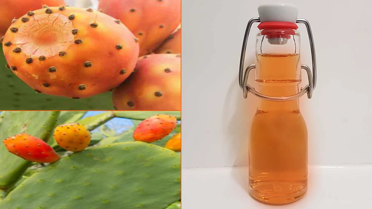 فوائد زيت التين الشوكي للشعر ما هي طرق استخدامه - 2trend