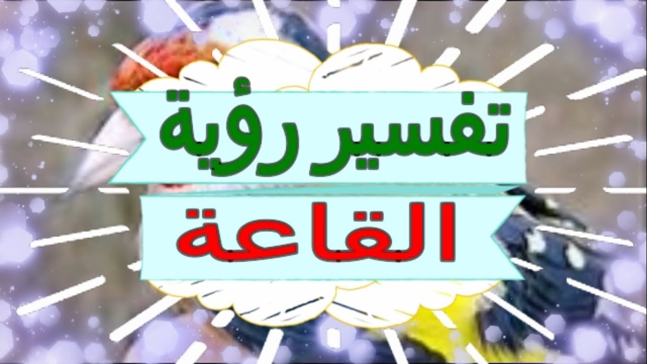 ما هو تفسير حلم القاعة في المنام للفتاة العزباء والرجل بالتفصيل - 2trend