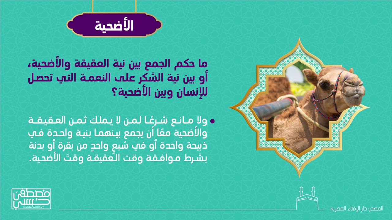 هل يجوز الجمع بين الاضحية والعقيقة - 2trend